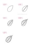 Leaf Drawing Step by Step 10 Simple Ways - Smiling Colors