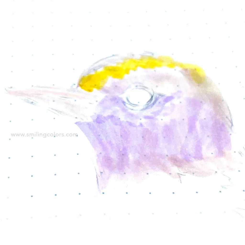 How To Use Markers and Colored Pencils Together