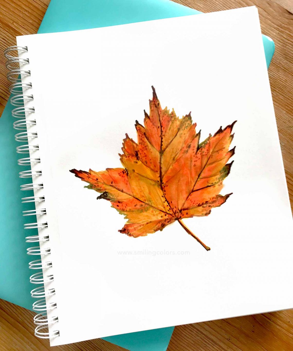 How to Draw a Maple Leaf with Markers - Smiling Colors