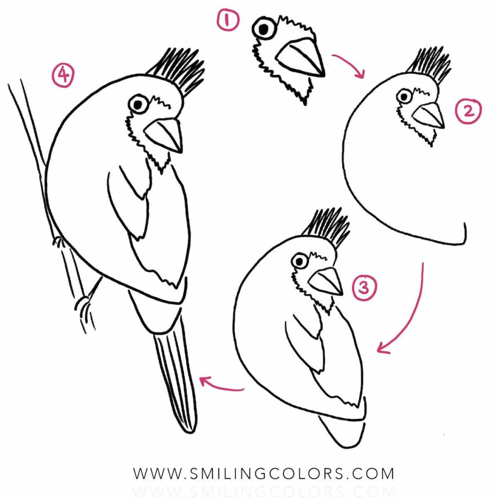 5 Ways How To Draw A Bird + Worksheet - Smiling Colors