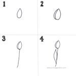 5 Tulip Drawing Ideas That Are Easy and Beautiful!